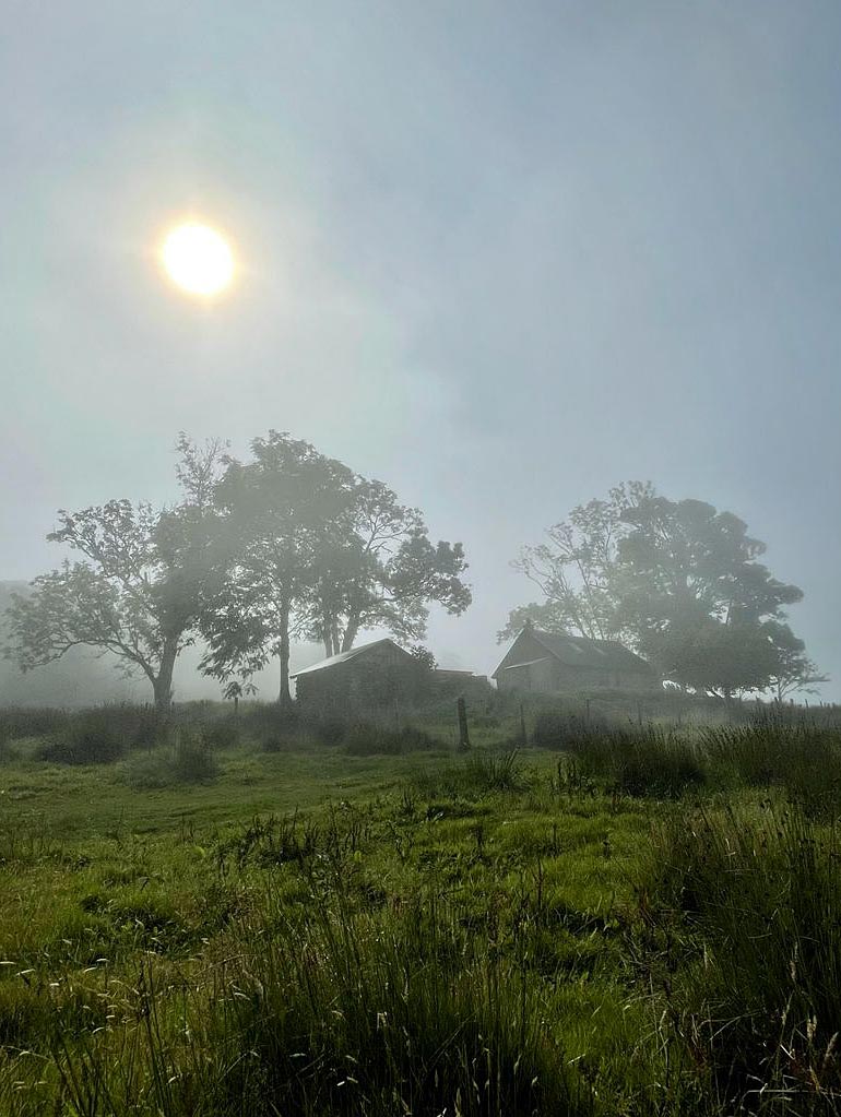 The Croft Collective - Kip Hideaways