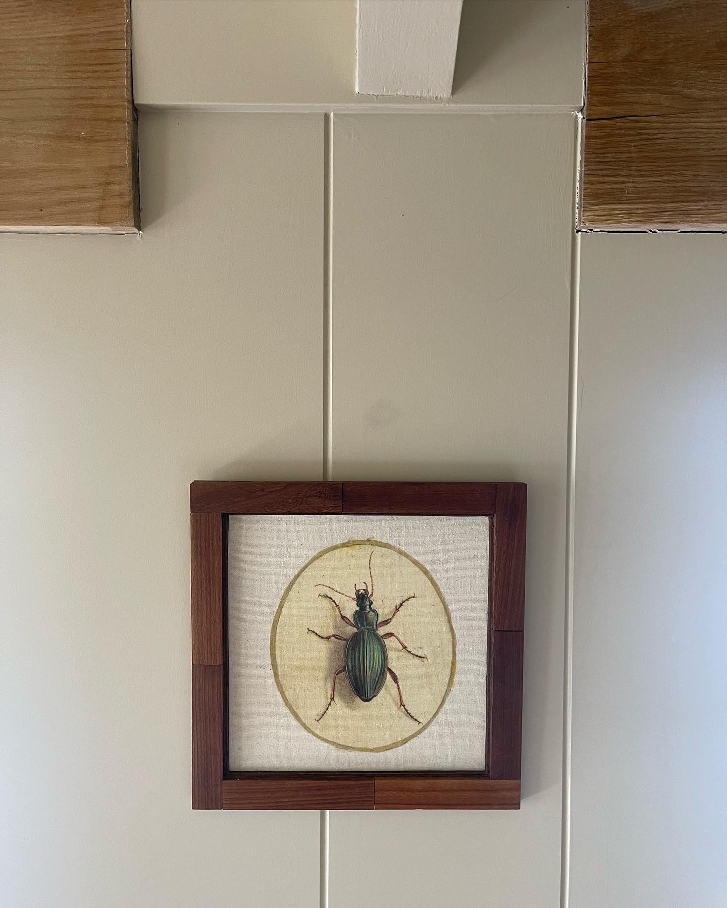 Vintage Bug Prints - Kip Hideaways