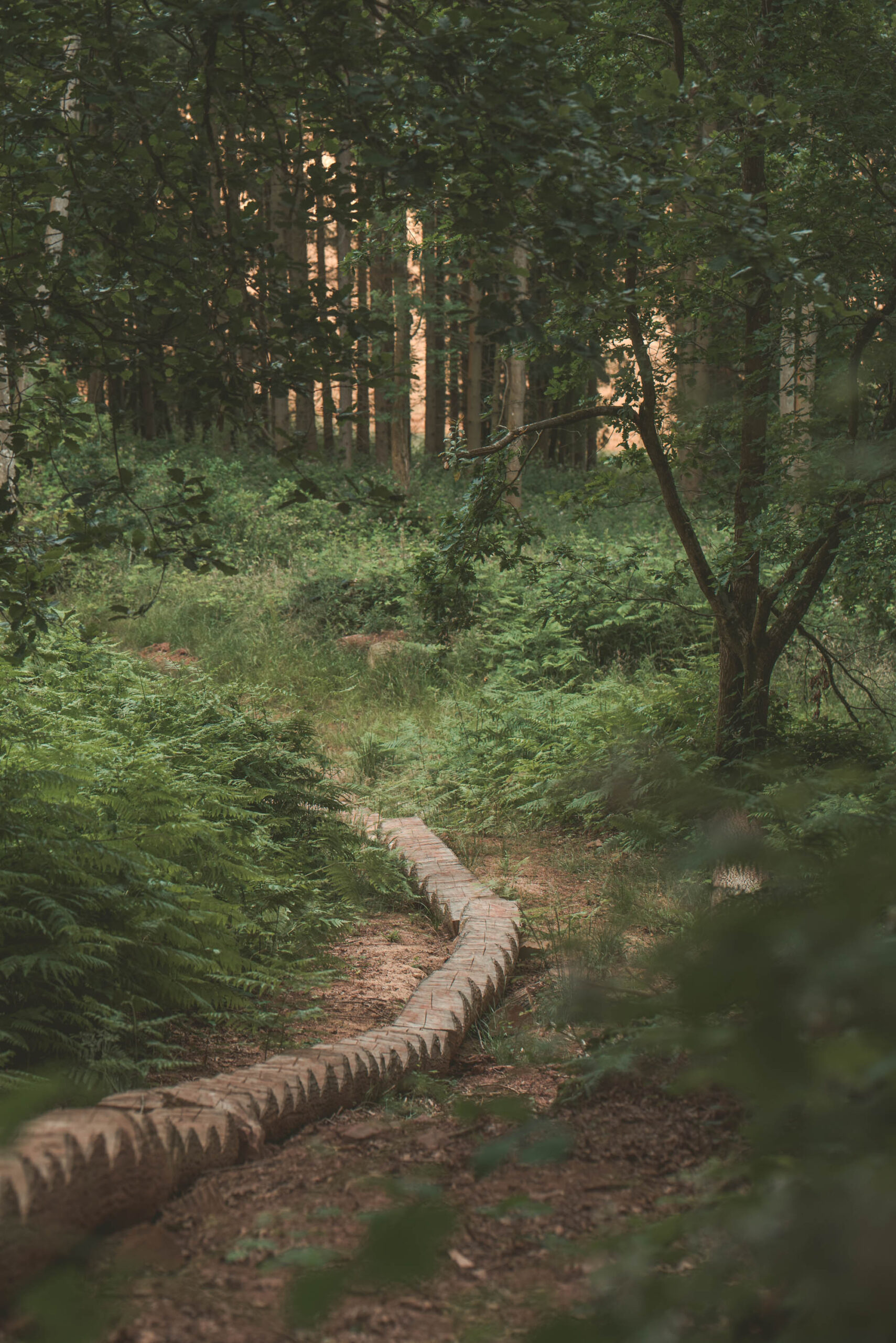 The Quist - Kip Hideaways