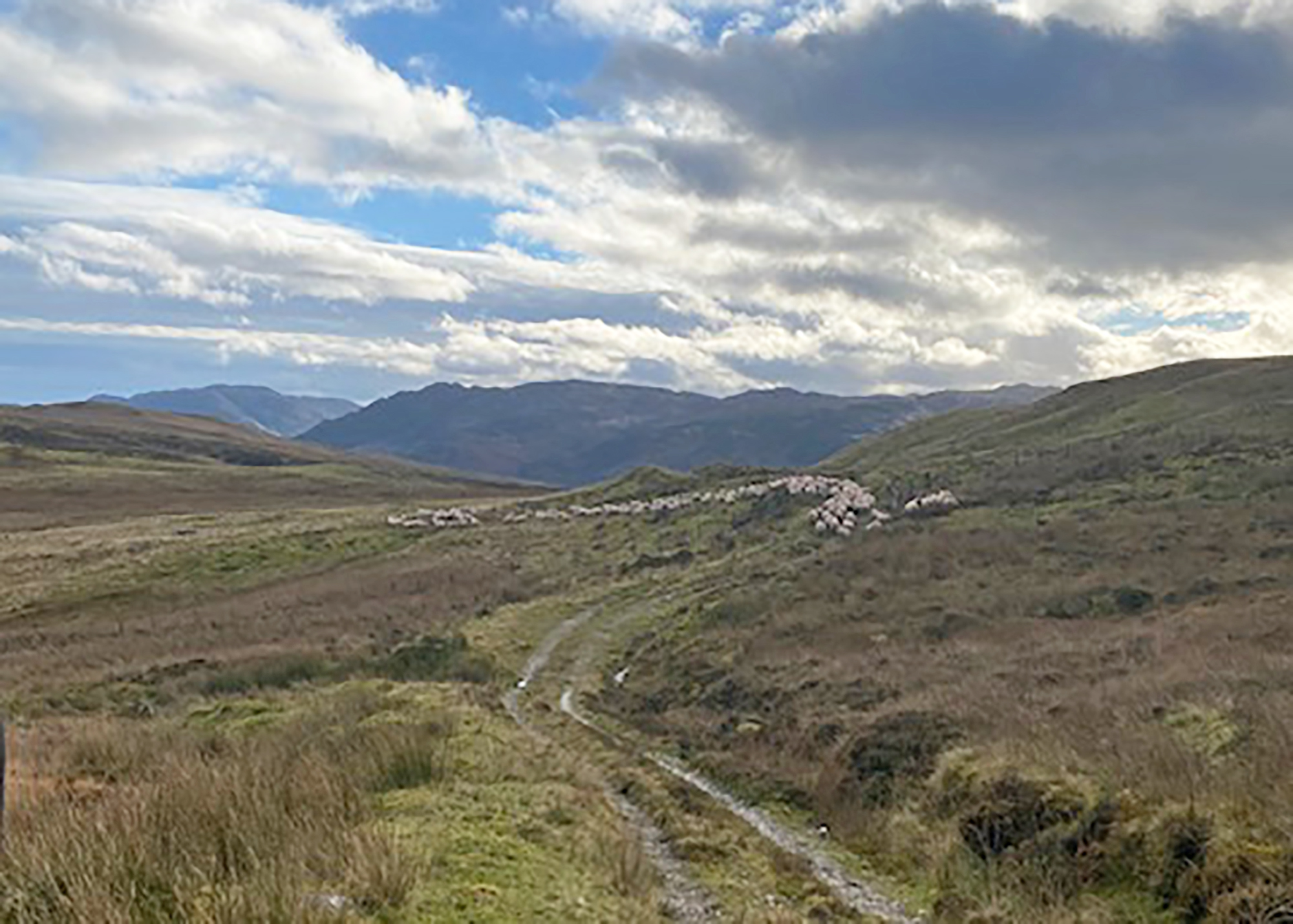 Caban Dubh - Kip Hideaways