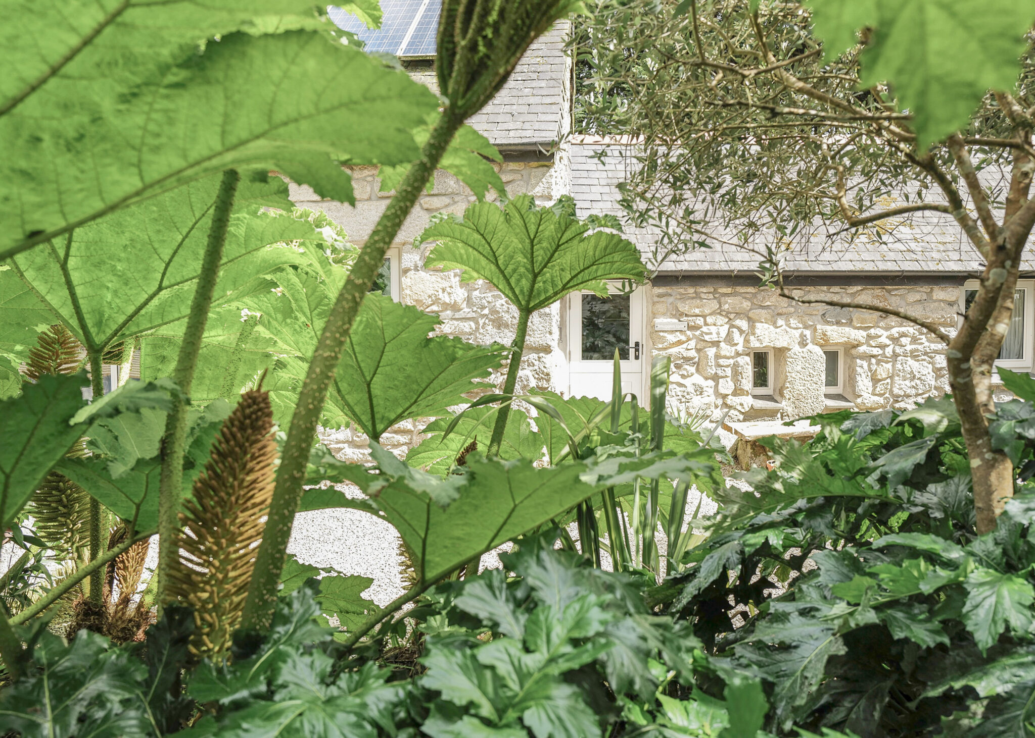 Middle Colenso Farm - Kip Hideaways