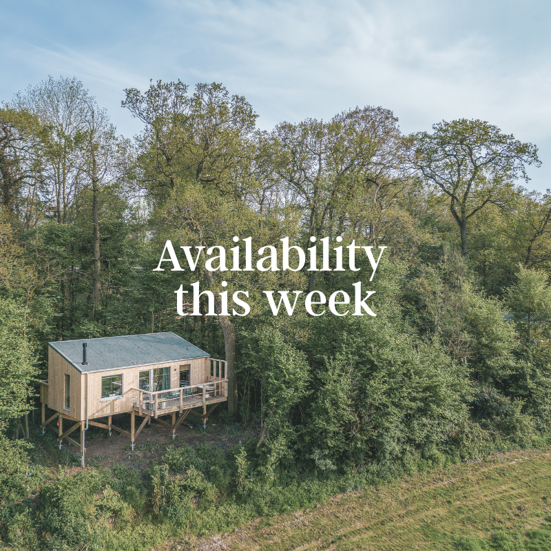 Late Availability - Kip Hideaways