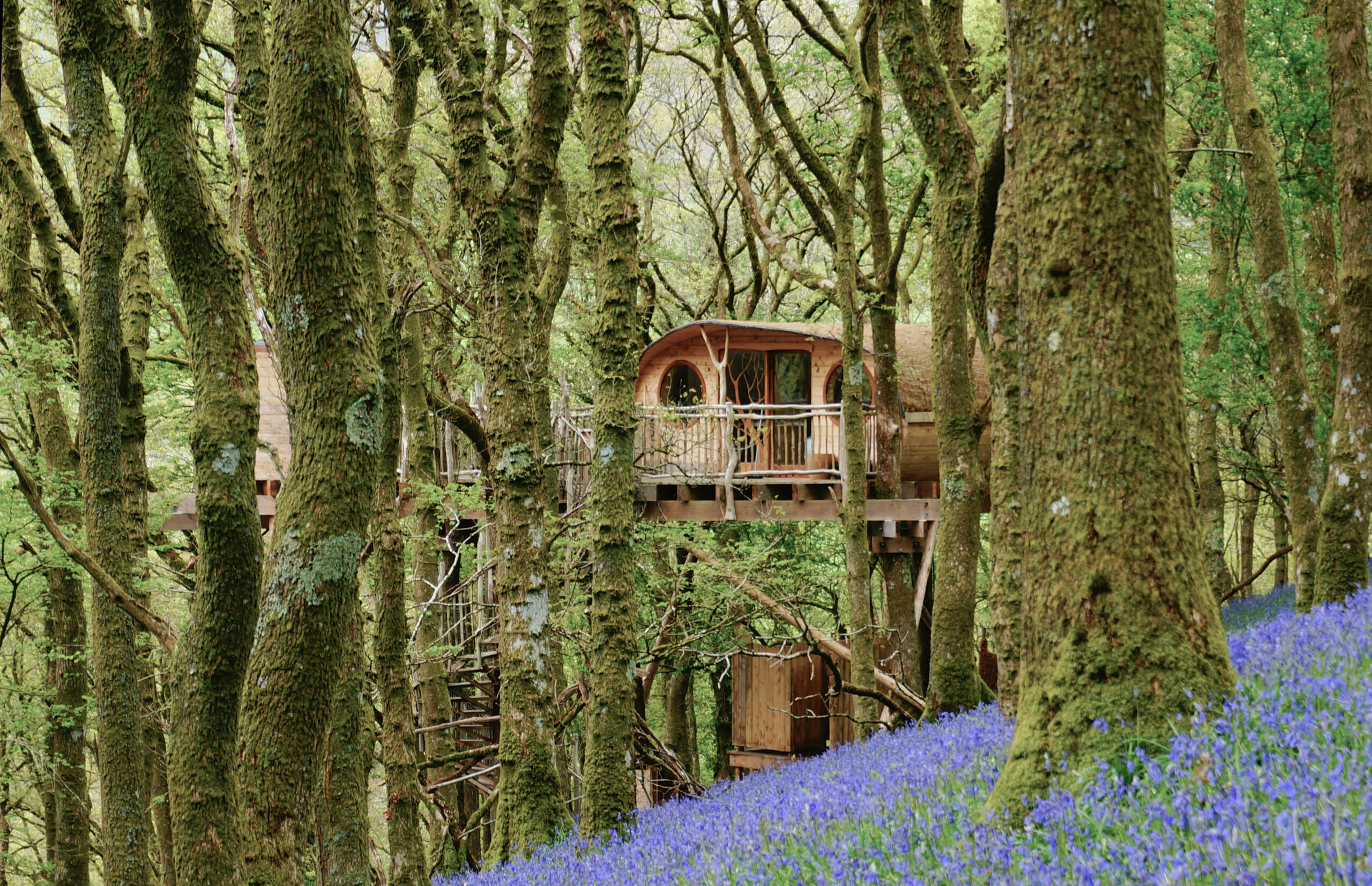 Living Room Treehouses - Kip Hideaways